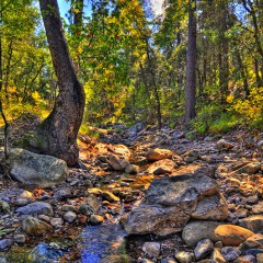 Milton Perrin :: Art & Photography :: Tucson, Arizona