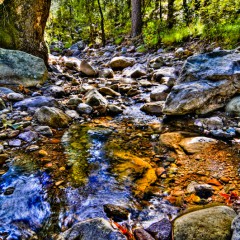 Milton Perrin :: Art & Photography :: Tucson, Arizona