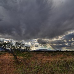 Milton Perrin :: Art & Photography :: Tucson, Arizona