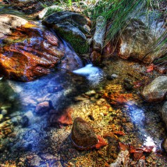 Milton Perrin :: Art & Photography :: Tucson, Arizona